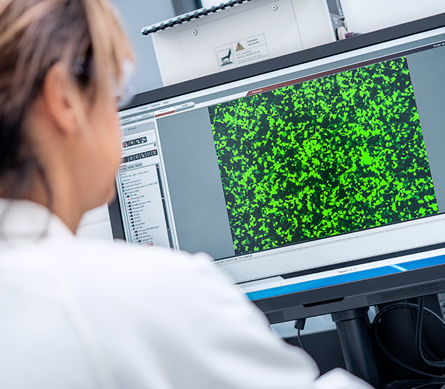 Detection Reagents | AnaSpec