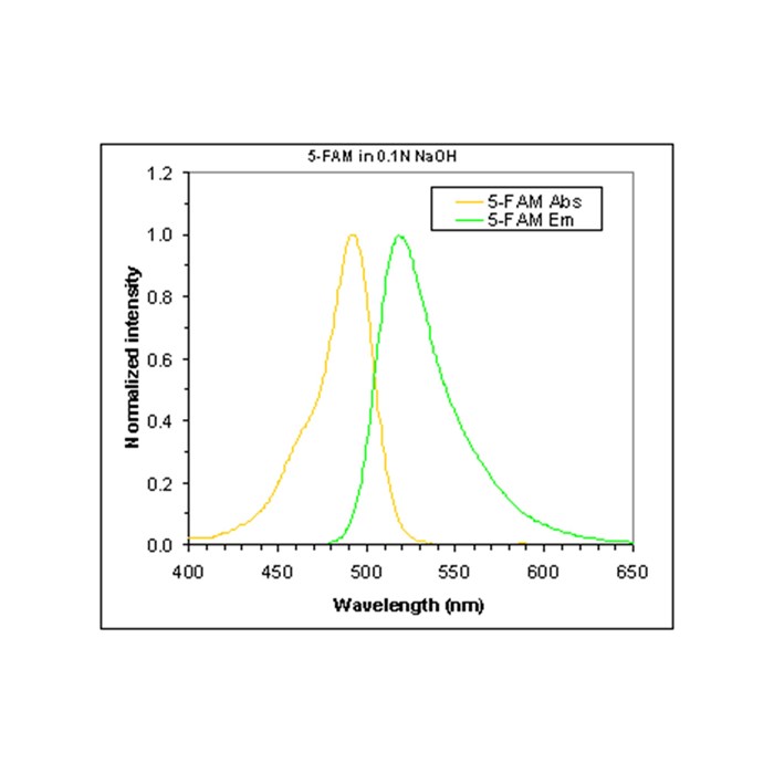 5-FAM [5-Carboxyfluorescein]