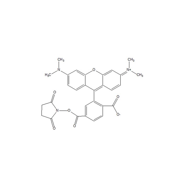 6-TAMRA,SE [6-Carboxytetramethylrhodamine, SE] - 5 mg
