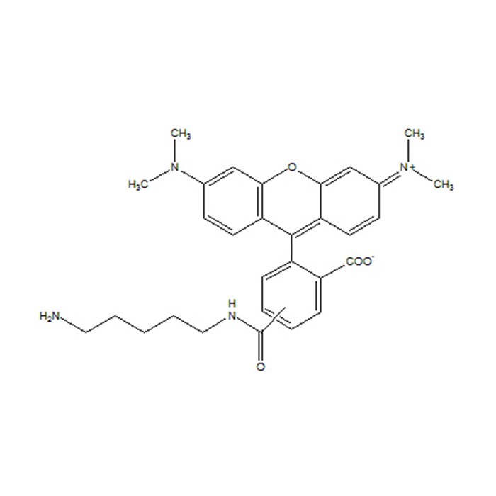 5(6)-TAMRA cadaverine [Tetramethylrhodamine 5-(and-6)-carboxamide ...
