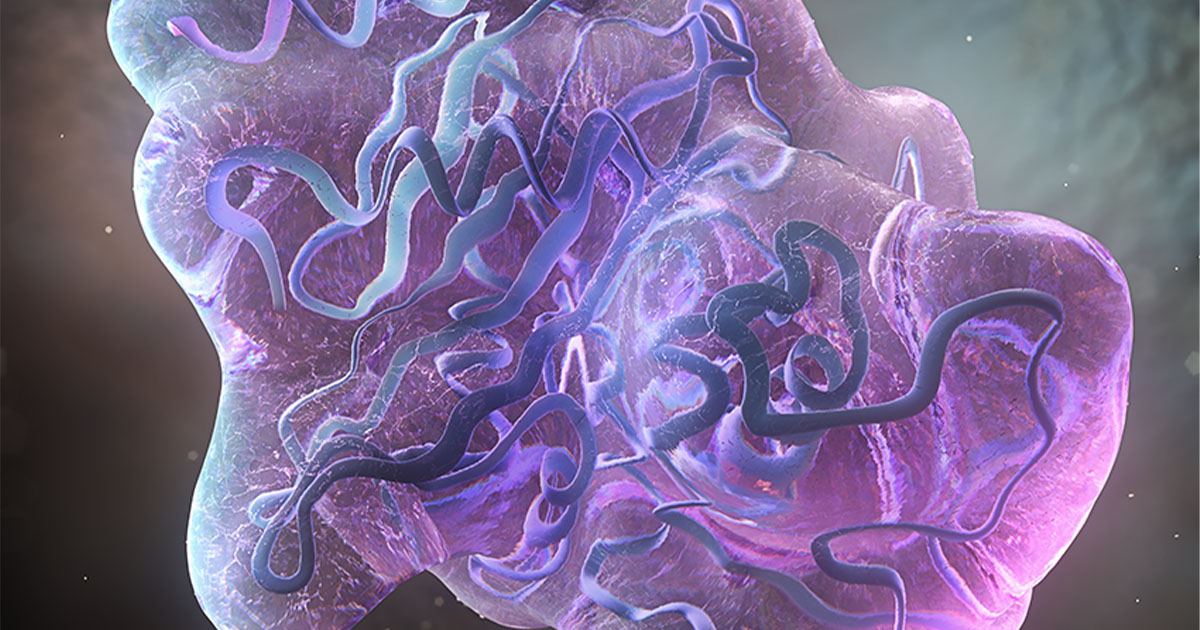 Epigenetics Recombinant Proteins | AnaSpec