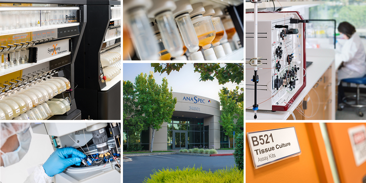 Working at AnaSpec | Science for a better tomorrow