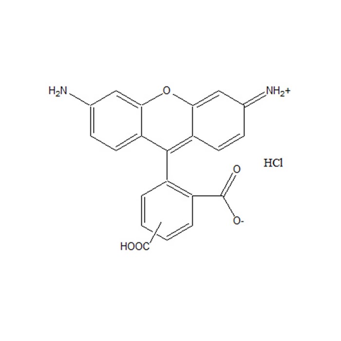 5(6)-CR110 [5-(and-6)-Carboxyrhodamine 110, hydrochloride] - 25 mg