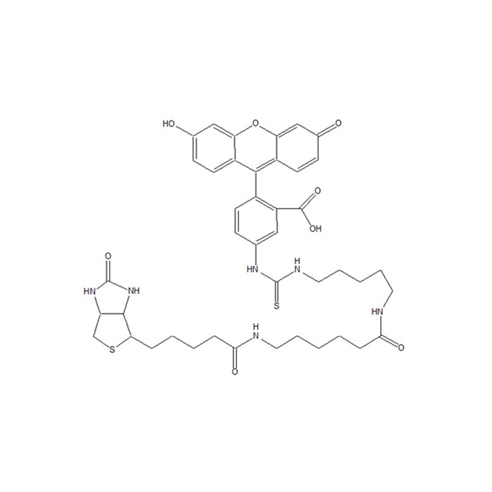 Fluorescein biotin - 5 mg
