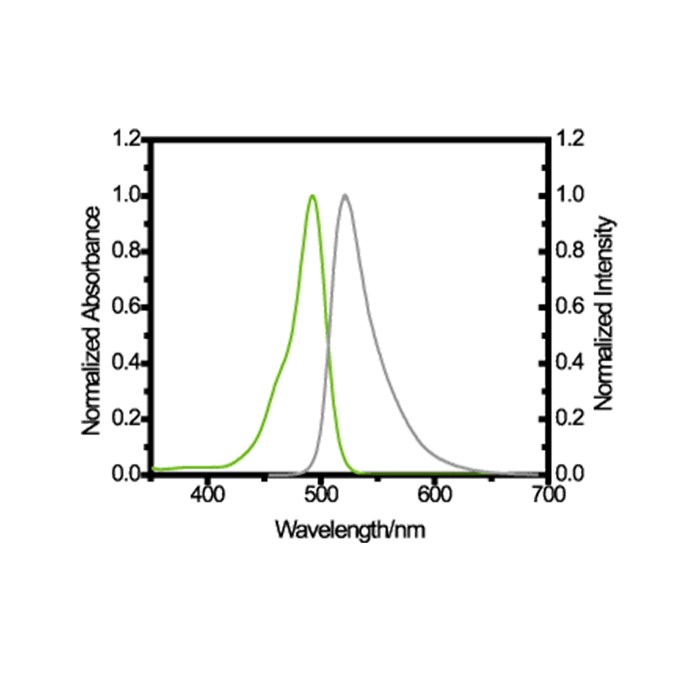Collagen (Type I), FITC conjugated Water soluble - 1 mg
