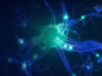 SensoLyte® Beta-amyloid Quantitative ELISA Kits