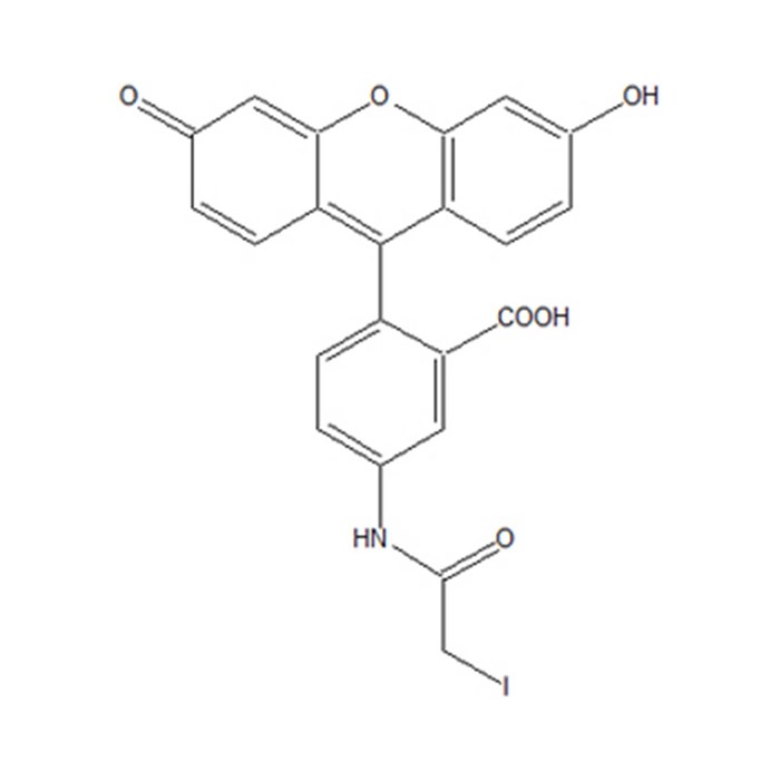5-IAF [5-Iodoacetamidofluorescein] - 25 mg