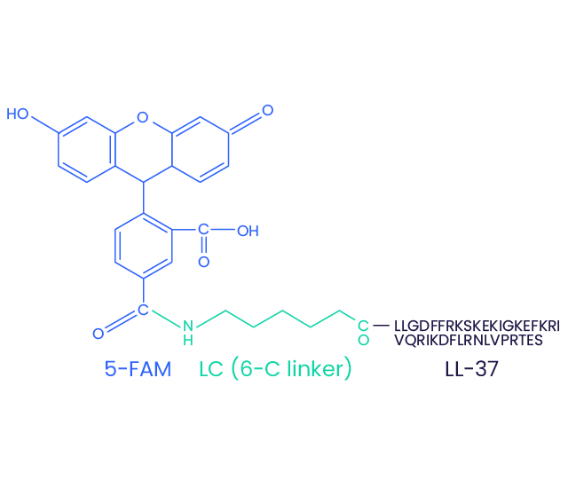 LL-37 Peptides | AnaSpec