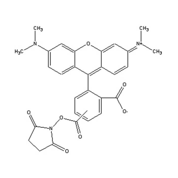 5(6)-TAMRA,SE [5-(and-6)-Carboxytetramethylrhodamine, SE]